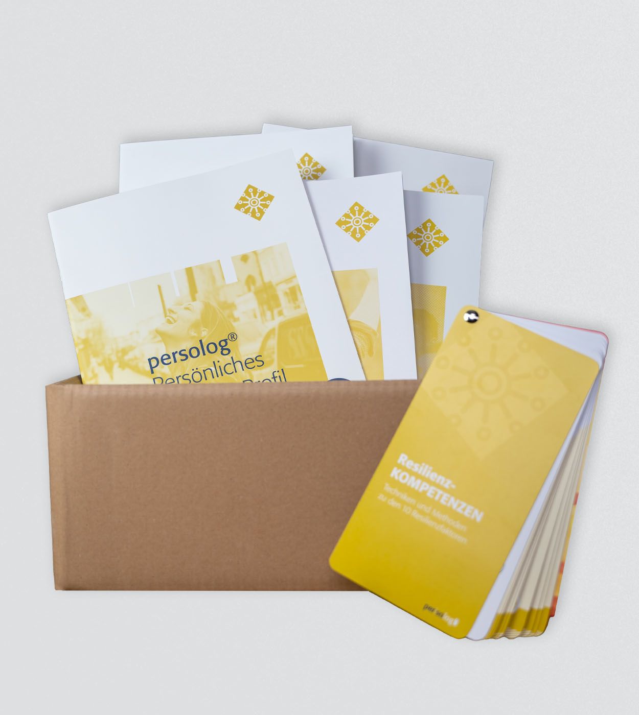 Kennenlernpaket zum persolog Resilienz-Modell | Print | Kennenlernpaket ...